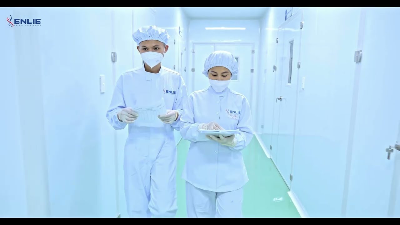 Introduction of Enlie Pharmaceutical Factory - Vietnam - YouTube