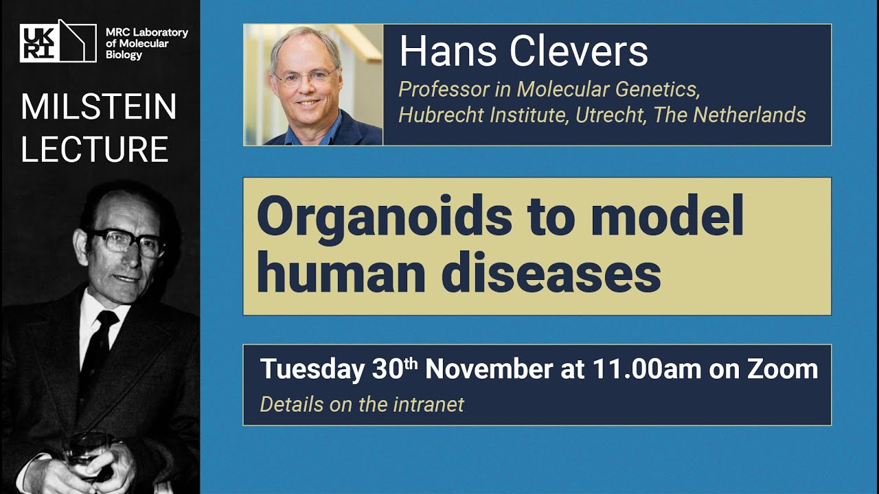 Milstein Lecture 2021 - Organoids to model human diseases - Hans ...