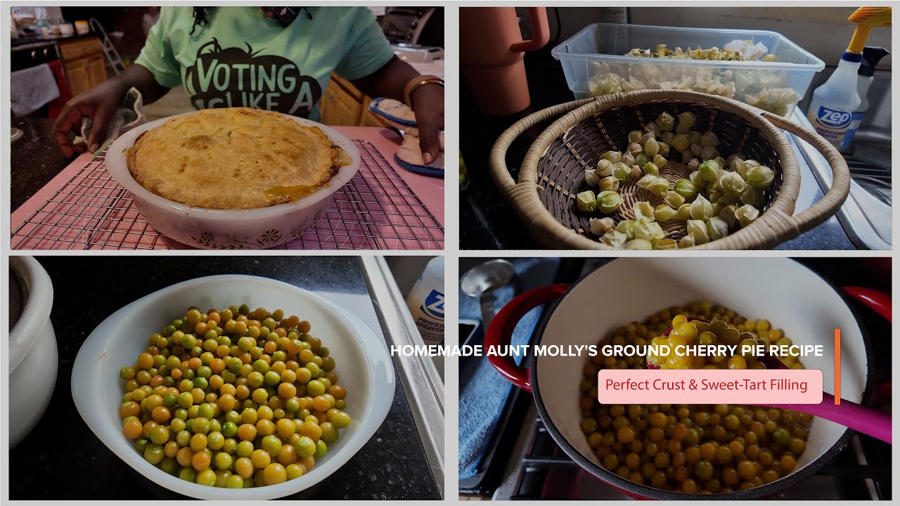 Homemade Aunt Molly's Ground Cherry Pie Recipe | Perfect Crust & Sweet ...