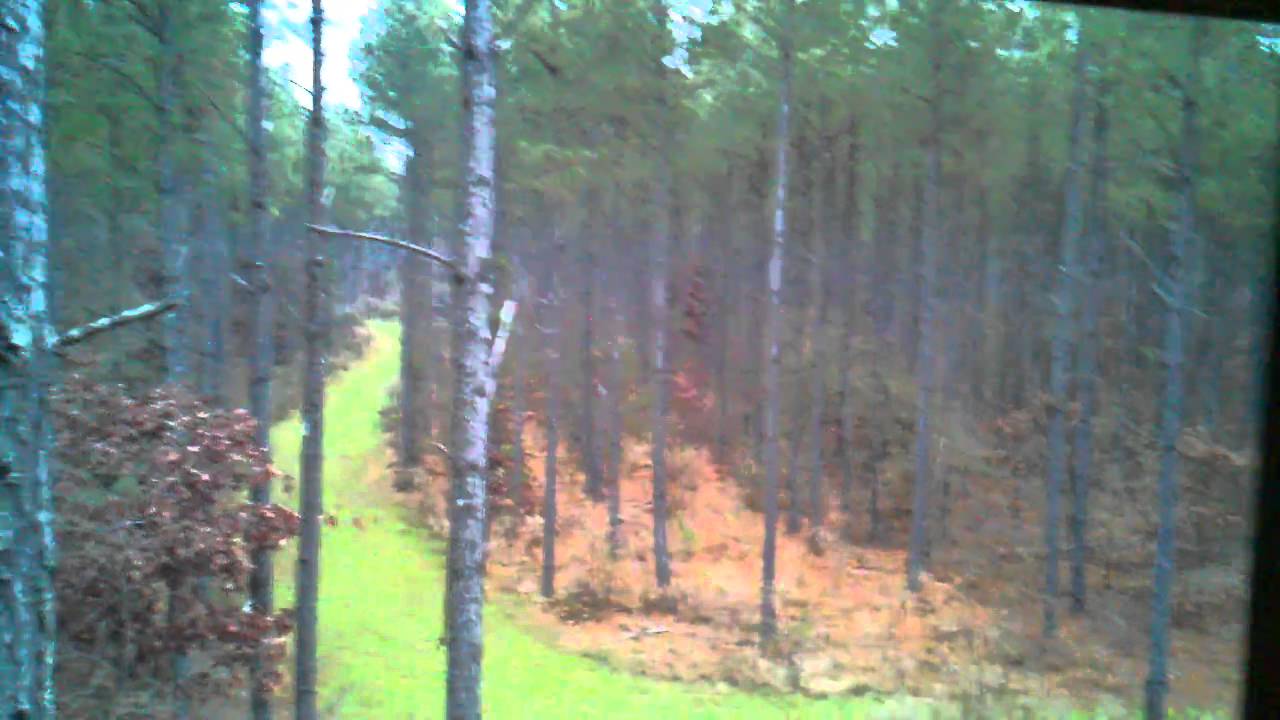 view from tree stand - YouTube