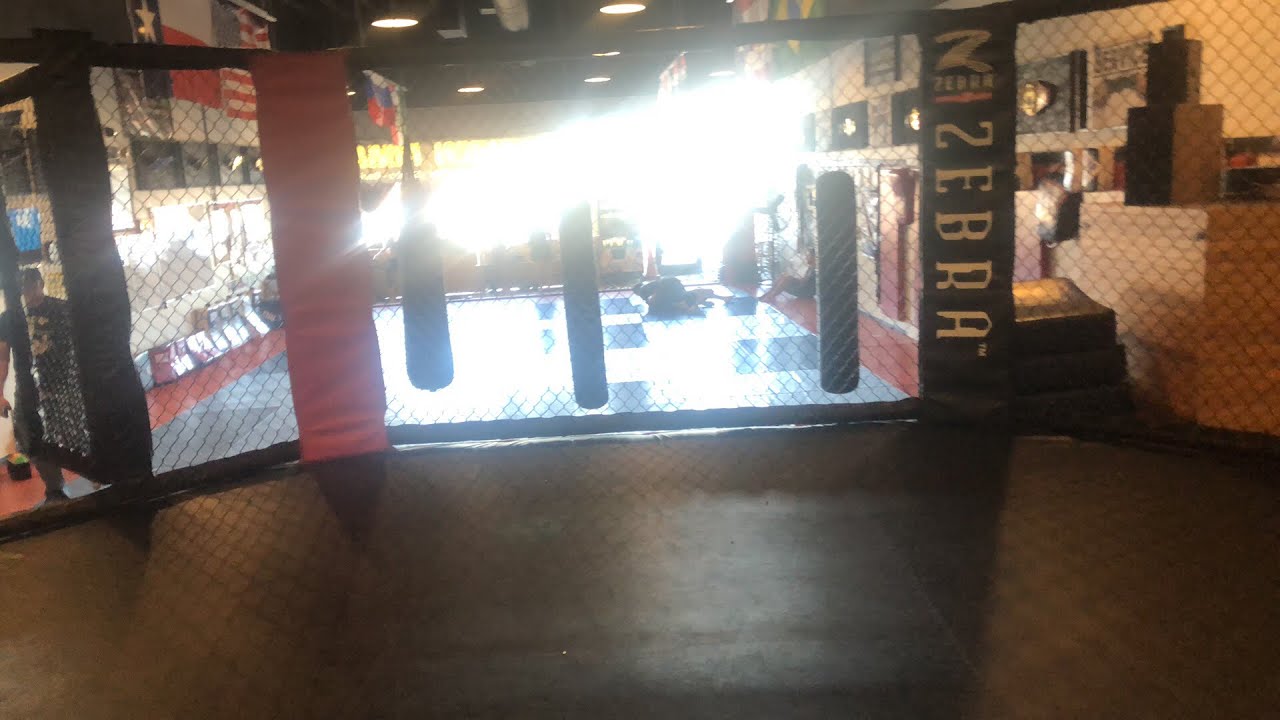 Lyte Burly 52 - YouTube