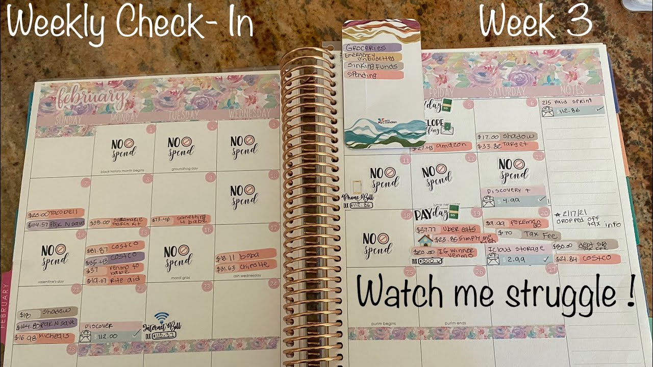Weekly Check-In | 3rd Week Of February | Lots of spending | EC Monthly ...