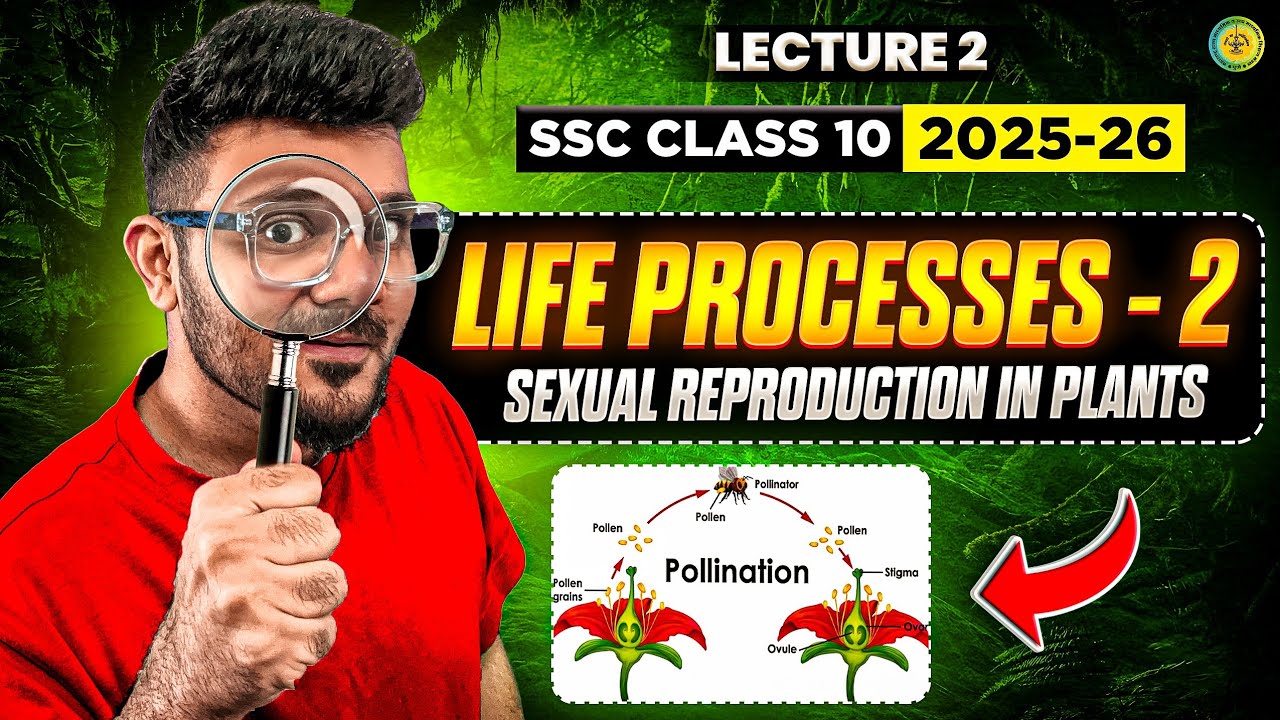 Sexual Reproduction in Plants || Life processes in Living Organisms ...