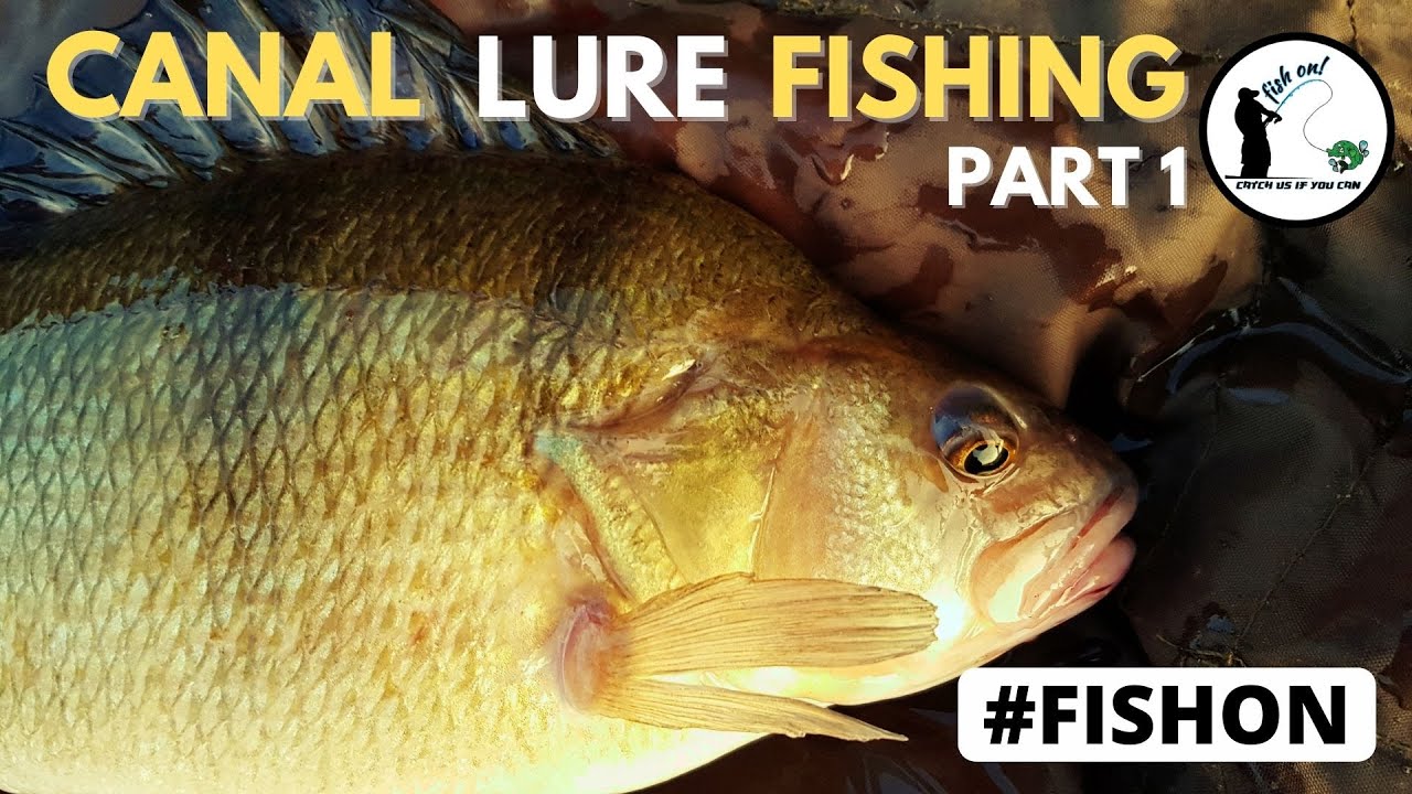 PREDATOR FISHING WITH LURES PART 1 - Early morning on the canal - YouTube
