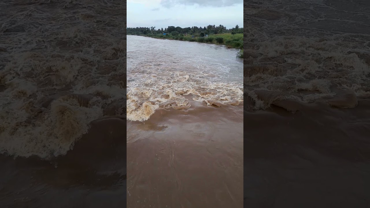 Cheyyar River - YouTube