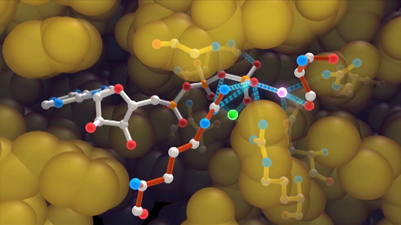 v07 Molecular animation of ATP synthase - YouTube