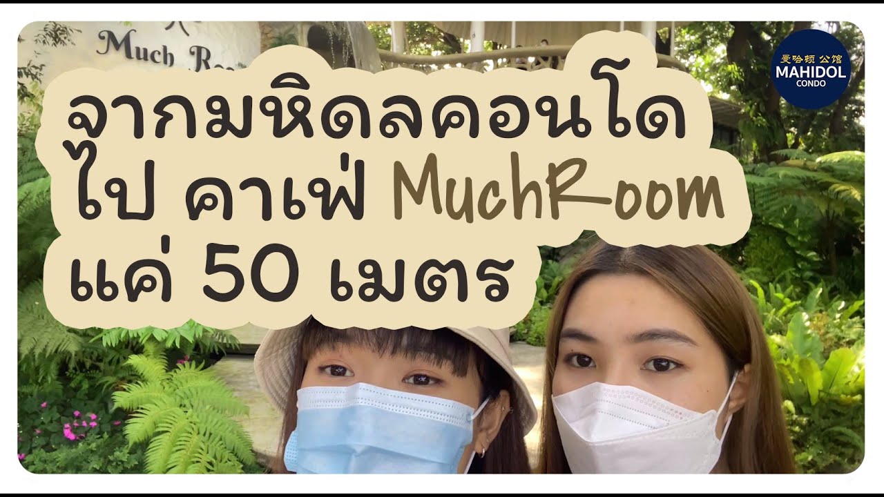 MuchRoom Café 🍄คาเฟ่นี้อยู่ไม่ไกลจาก Mahidol Condo เพียง50เมตร - YouTube
