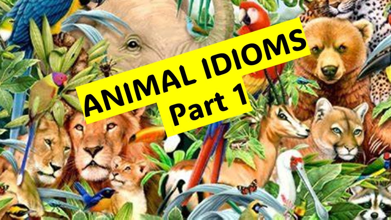 Animal idioms. Part 1. - YouTube