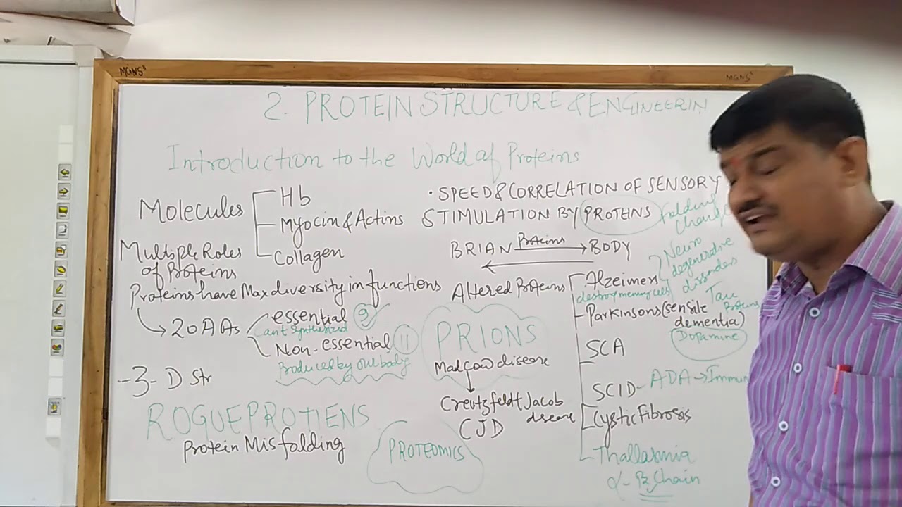 Protein Structure & engineering - YouTube