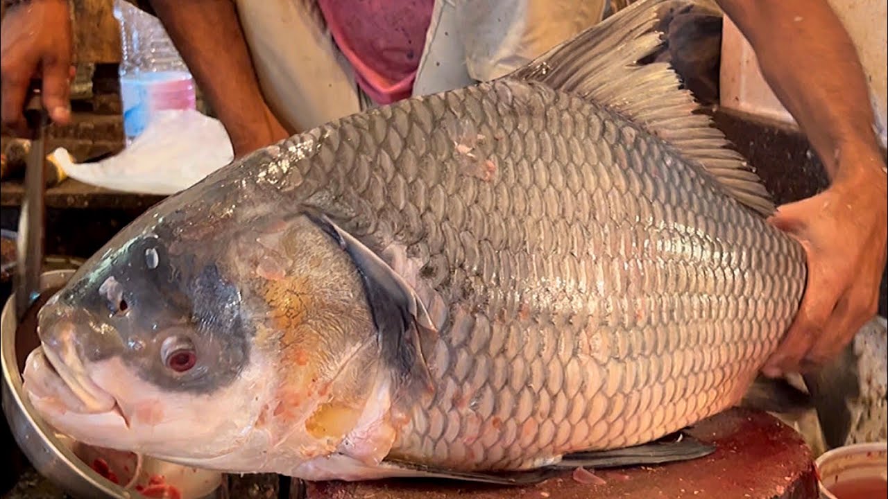 Amazing Giant Katla Fish Cutting Skills Live In Fish Market | Fish ...