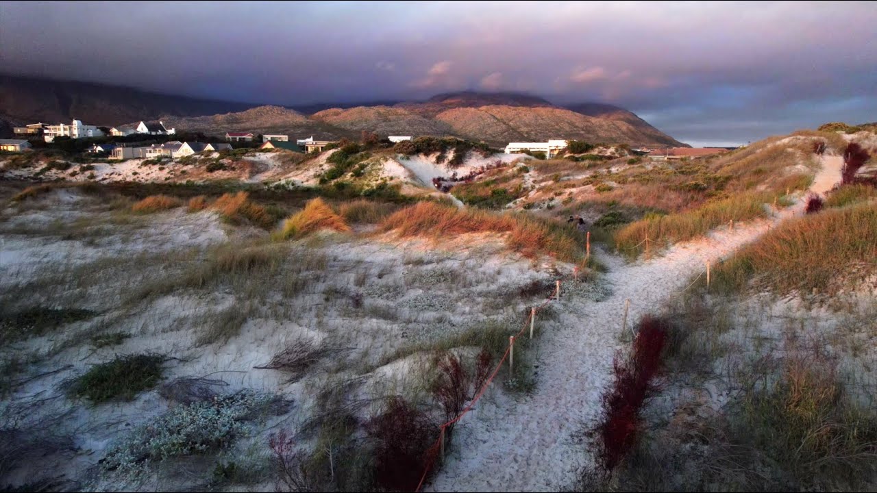Holding the Line: The Battle for Pringle Bay Beach and Dunes - YouTube