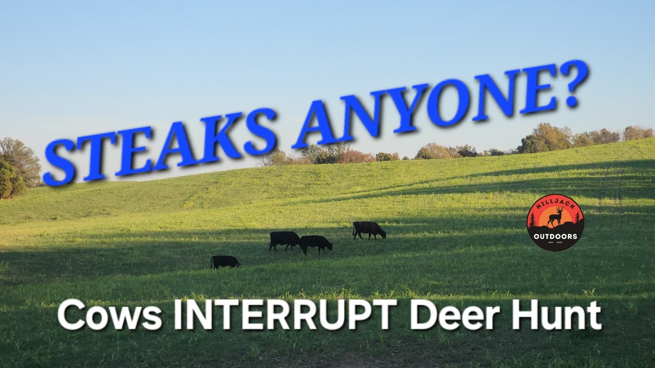 STEAKS ANYONE? 1st Time In A Tree In Kentucky In 2 Years - YouTube