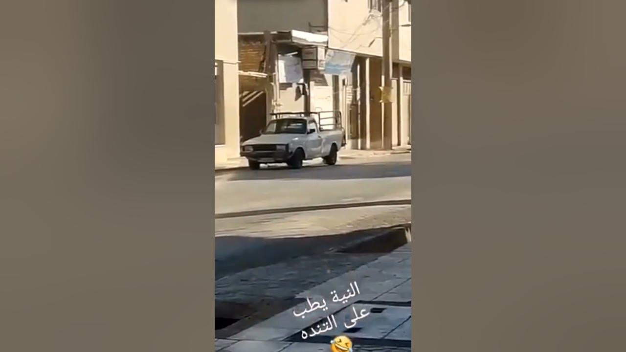 كلب ينط من فوق البيت 😂😂 Youtube