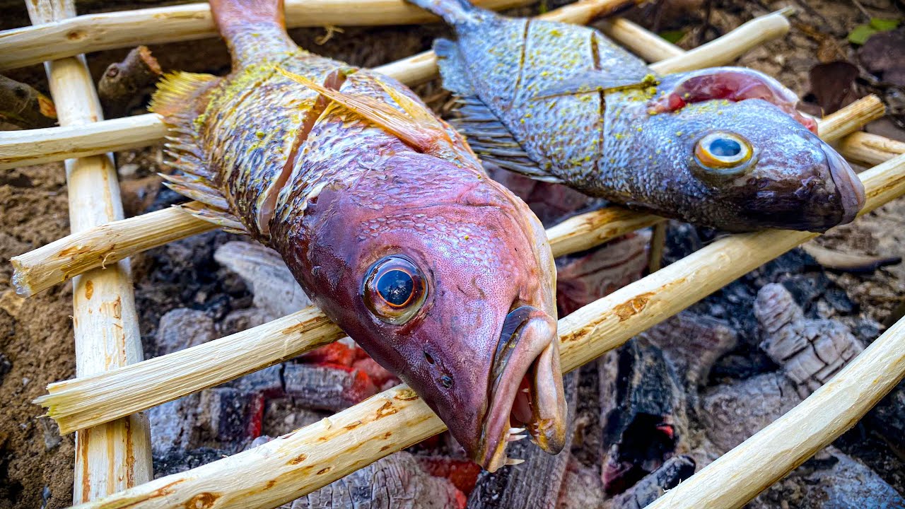 Living From The Ocean Spearfishing For Food - YouTube