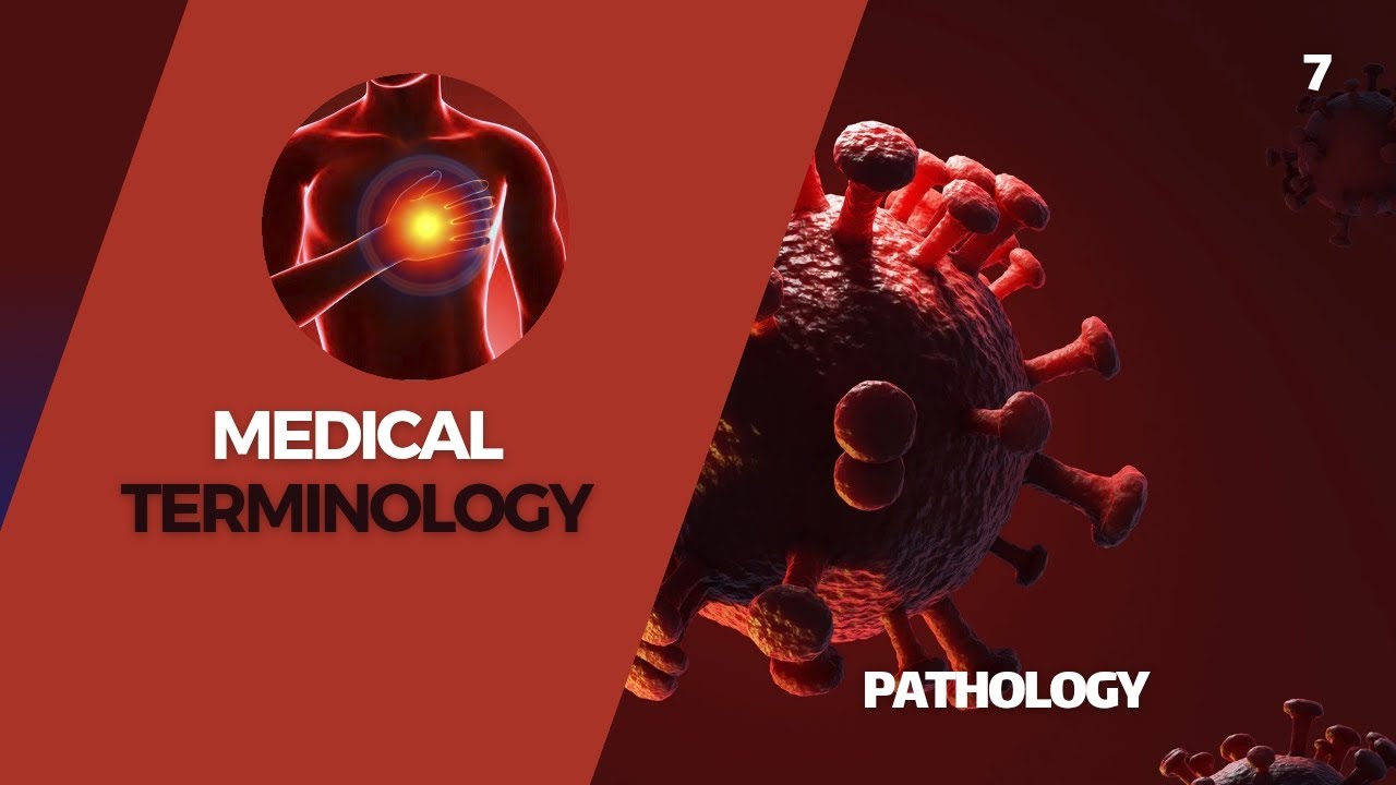 "Medical Terminology | Pathology Terms Explained 🔬📚":# ...