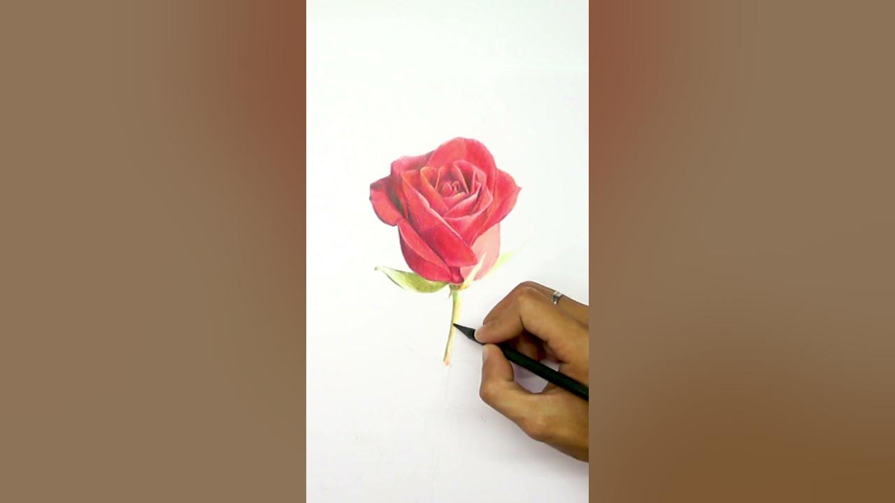 It's your time to bloom by Kent Louie Medenilla | Artistry by Altenew - YouTube