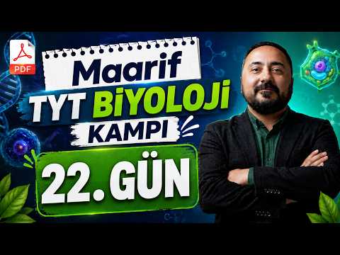 Canlılarda sindirim | Maarif 1. Aşama Biyoloji Kampı | 22.Gün