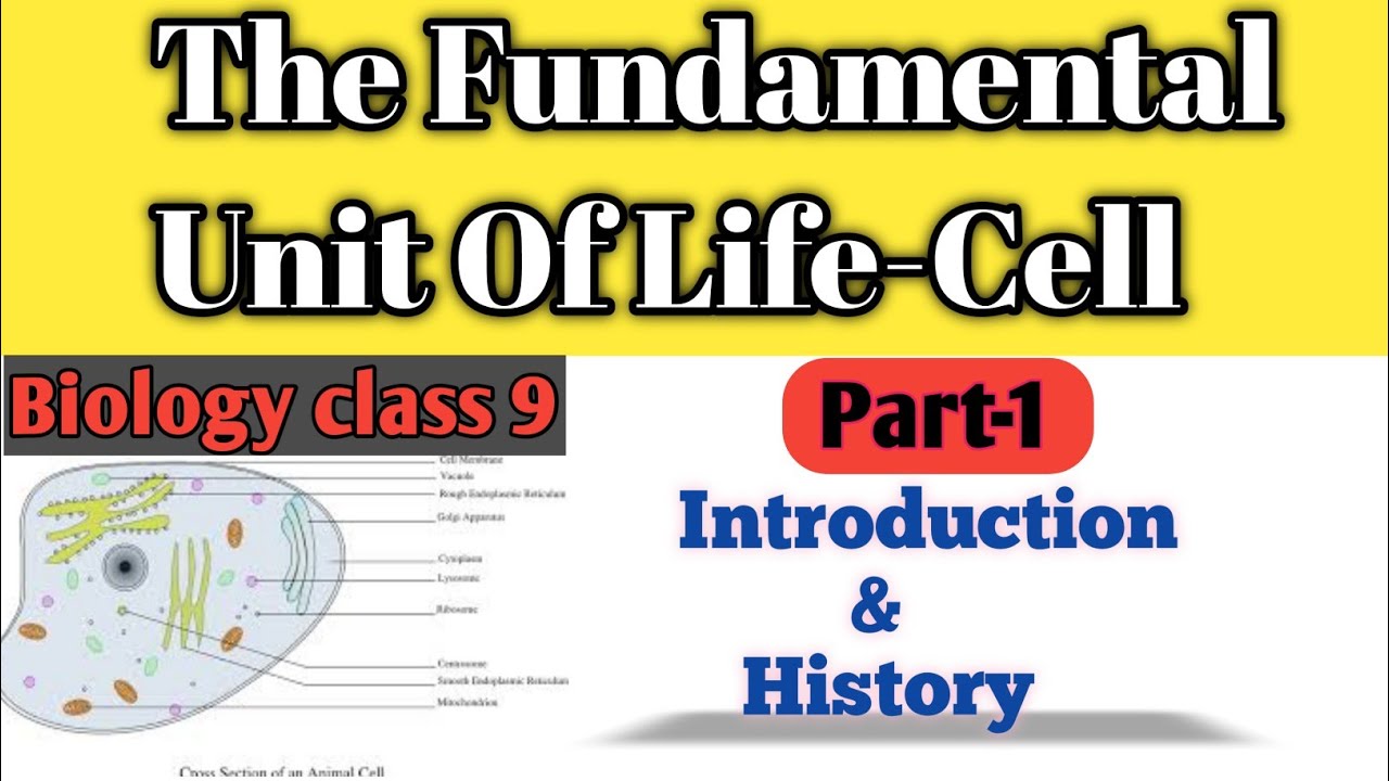 Cell | The Fundamental Unit Of Life | Class 9 CBSE | cbse class 9 ...