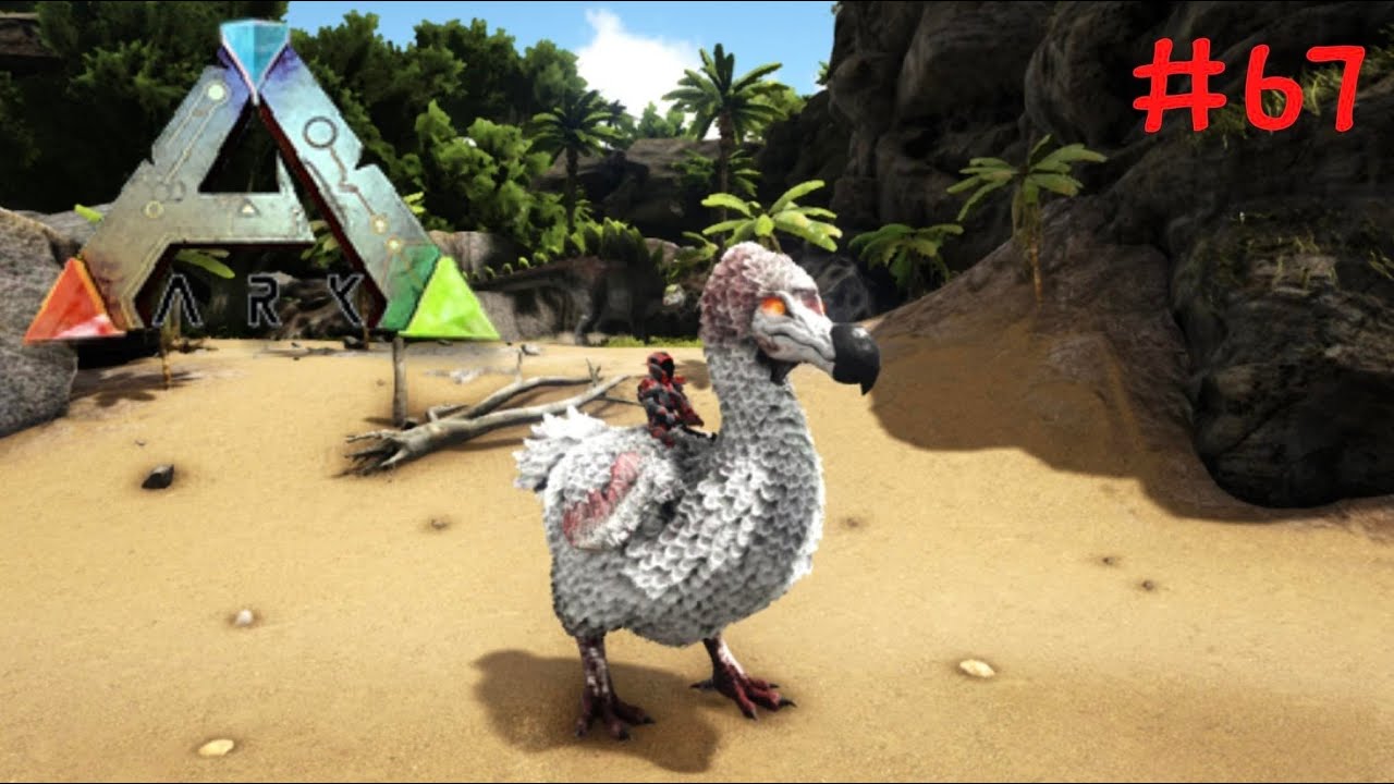 ARK Survival Evolved EP.67 จับอัลฟ่าโดโด้ (Alpha Dodo) - YouTube