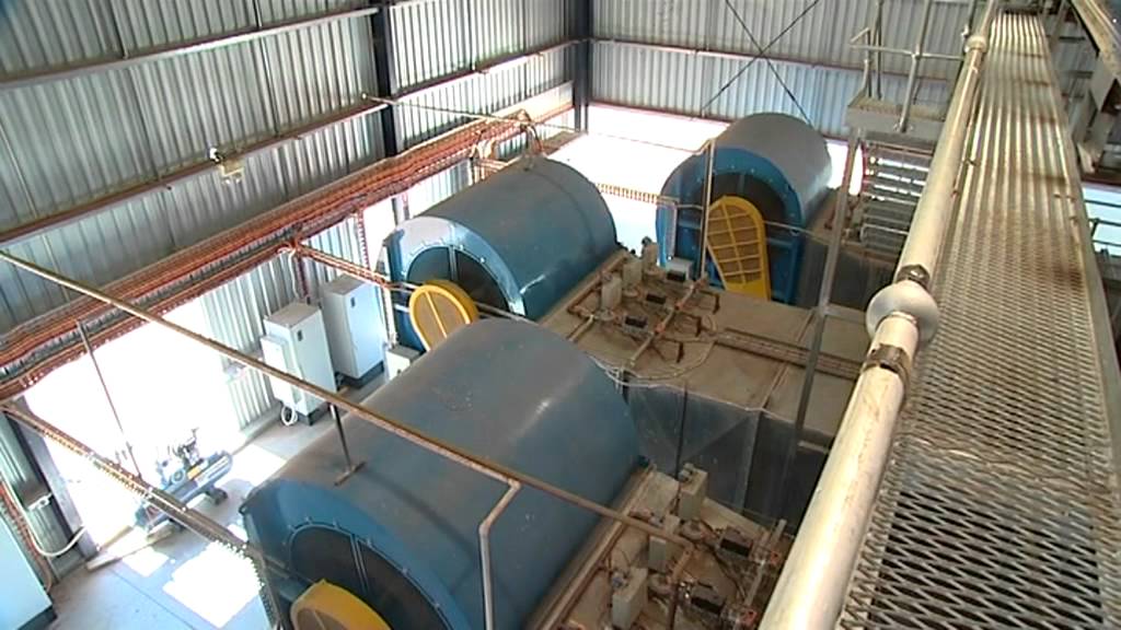 Walnuts Australia Tabbita NSW Orchard (Full) - YouTube