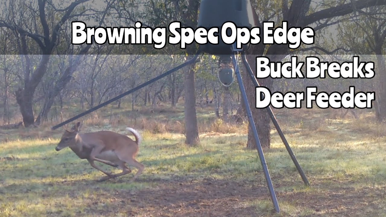 Buck Broke Deer Feeder #2: Nov. 2-3, 2023 Browning Spec Ops Edge Trail ...
