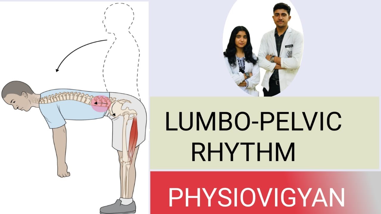 Lumbo Pelvic Rhythm Youtube
