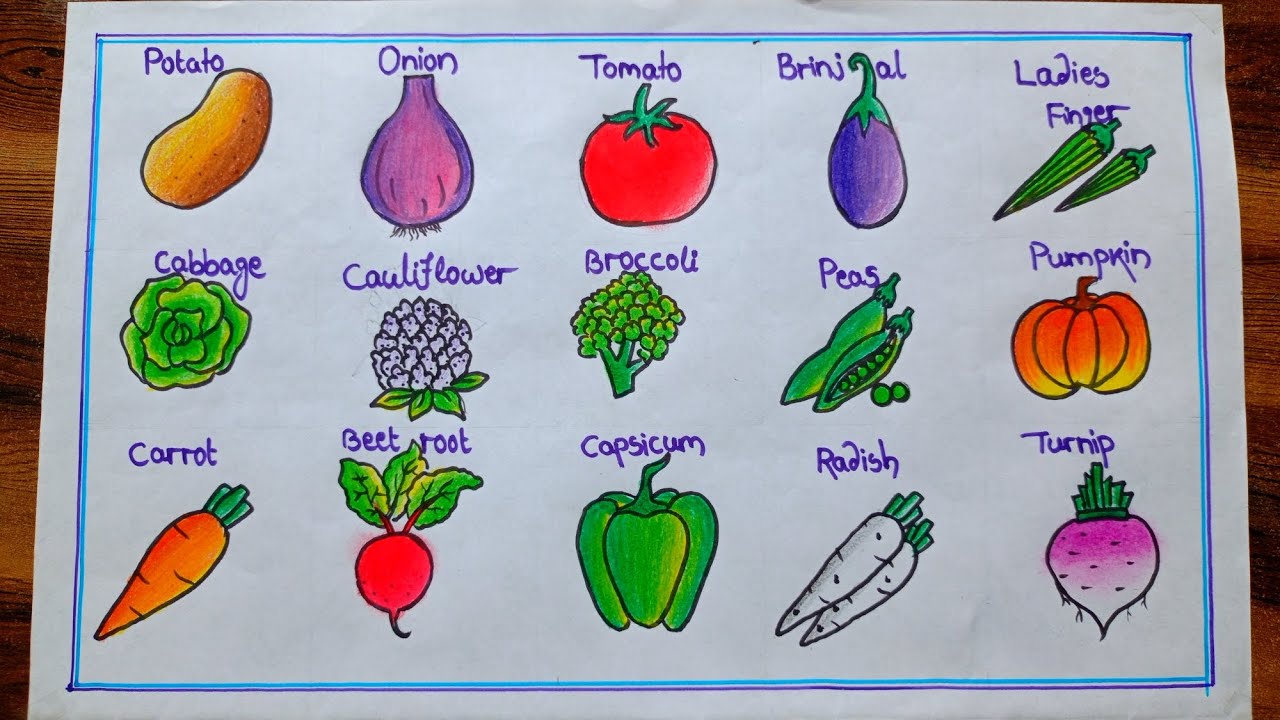 Types Of Vegetables Drawing Step By Step।Vegetables Drawing With Their ...
