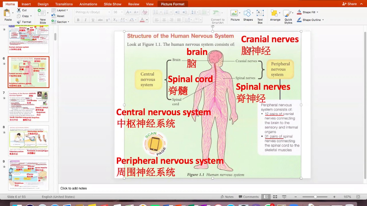 Form 3 Science Chapter 1 Stimuli and Responses part 1 - YouTube