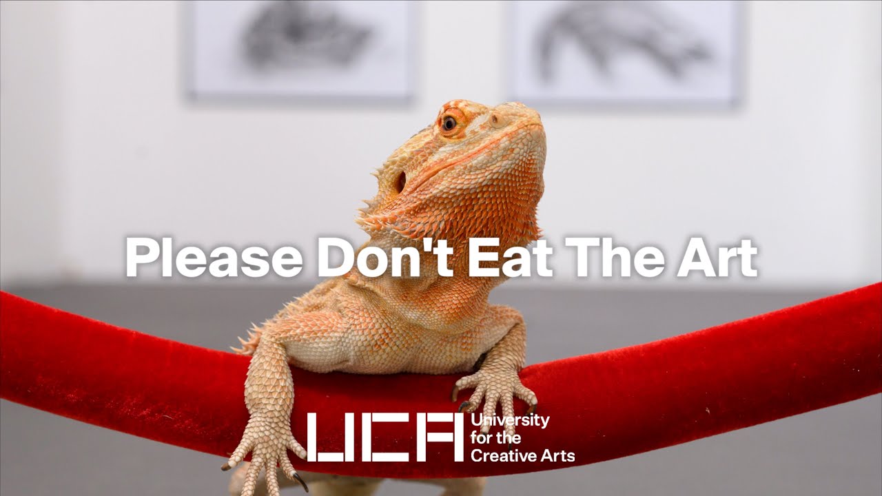 Please Don't Eat The Art: Animal Life Drawing at UCA - YouTube