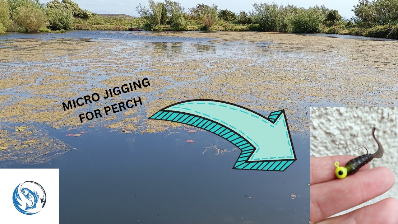 SPINNING AND MICRO JIGGING FOR PERCH!!!! - YouTube