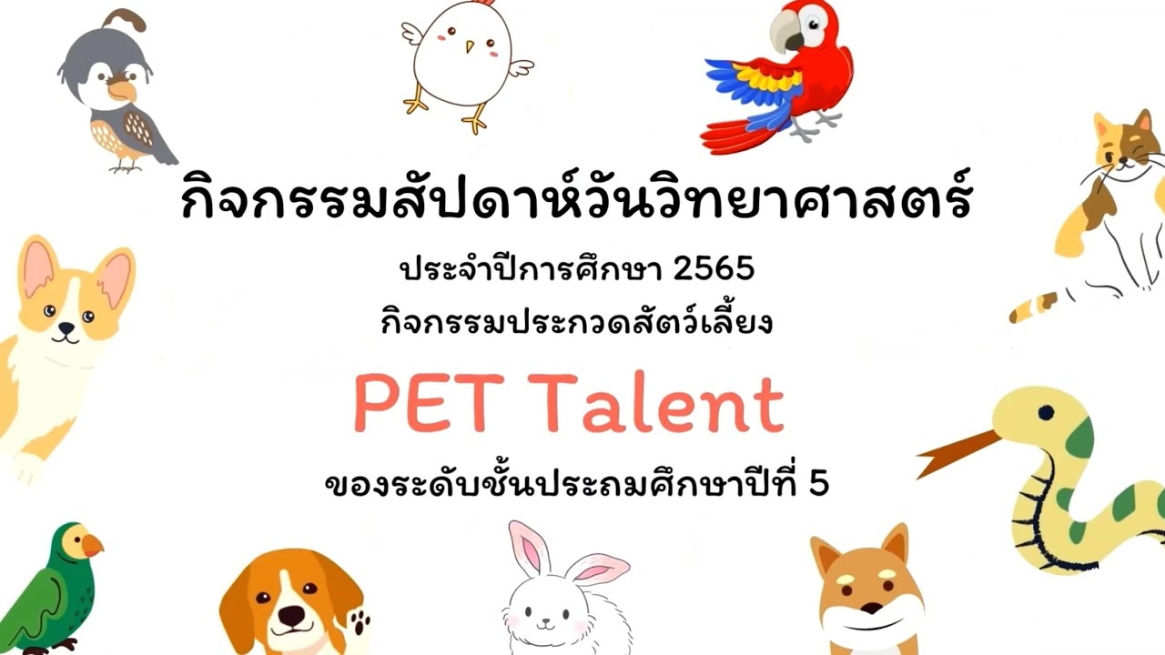 กิจกรรม Pet talent ประกวดสัตว์เลี้ยง - YouTube