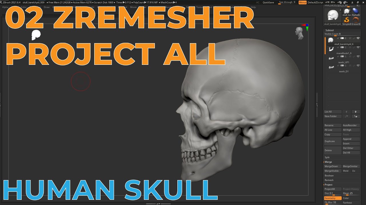 02 Sculpting a Detailed Human Skull in ZBrush: ZRemesher and Project ...