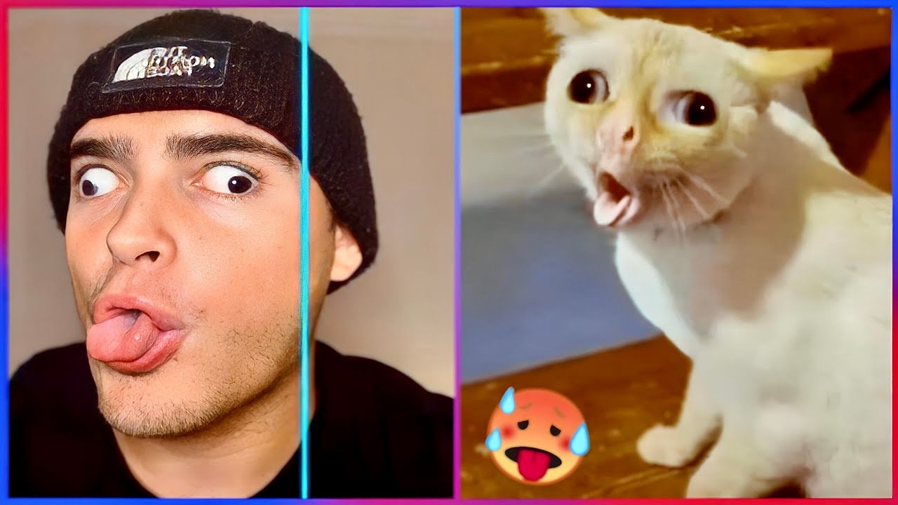 TRY NOT TO LAUGH😂 Reacting to Best Funny Videos Compilation🤣🤣 Memes ...
