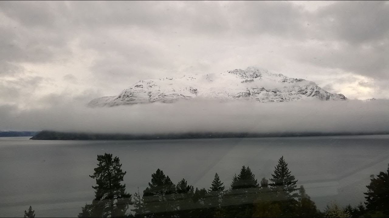 Red Mulberry Sweet and Green sour (Hindi word Sahtut- Locally known as ...