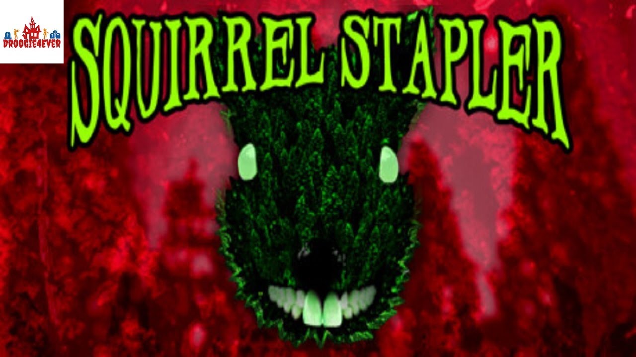 MY SQUIRREL STAPLER WILL MAKE MY LADY BEAUTIFUL! - YouTube