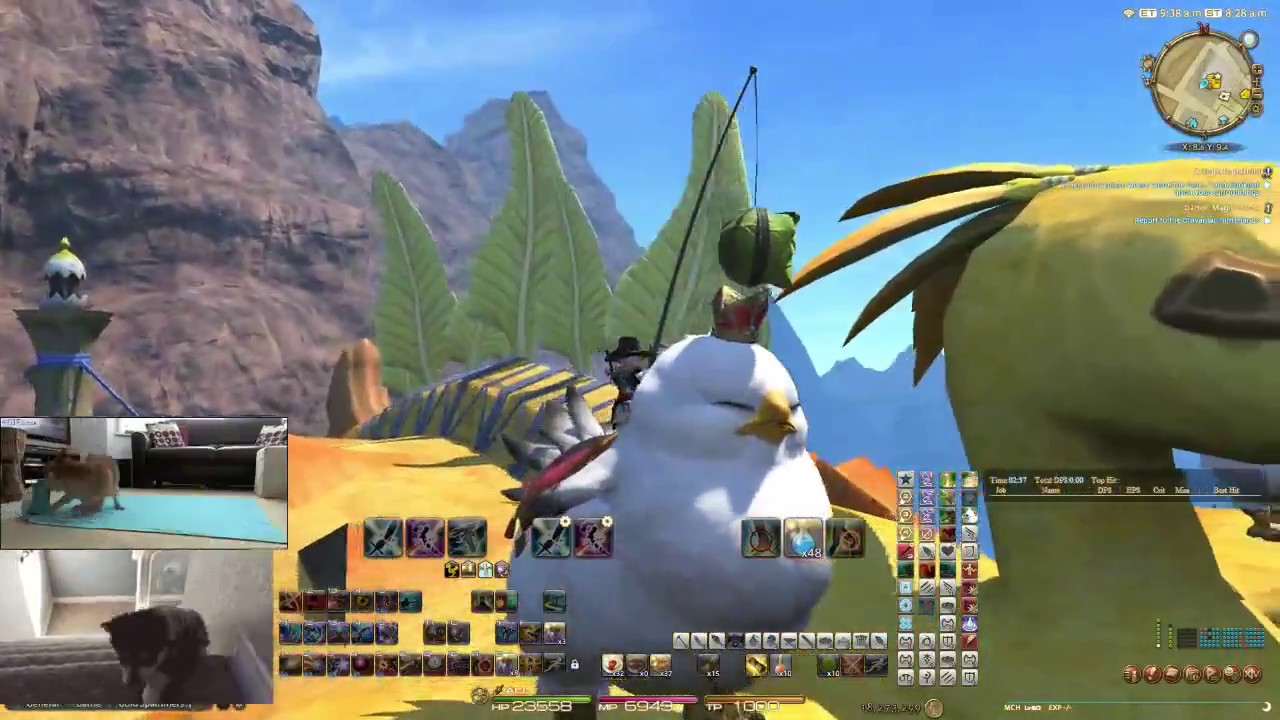 FFXIV: How to get on the roof of a Large Chocobo Mansion - YouTube