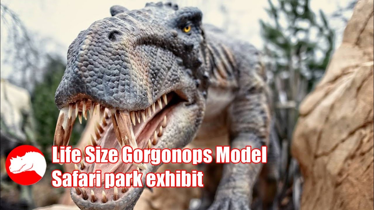 Safari Park Dino Exhibits - Real Size Gorgonops Model - YouTube