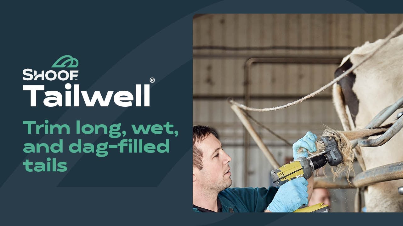 Tailwell power tail trimmer with long, wet and dag-filled tails - YouTube