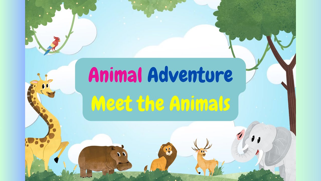 Meet The Animals: Learning About Animals - YouTube
