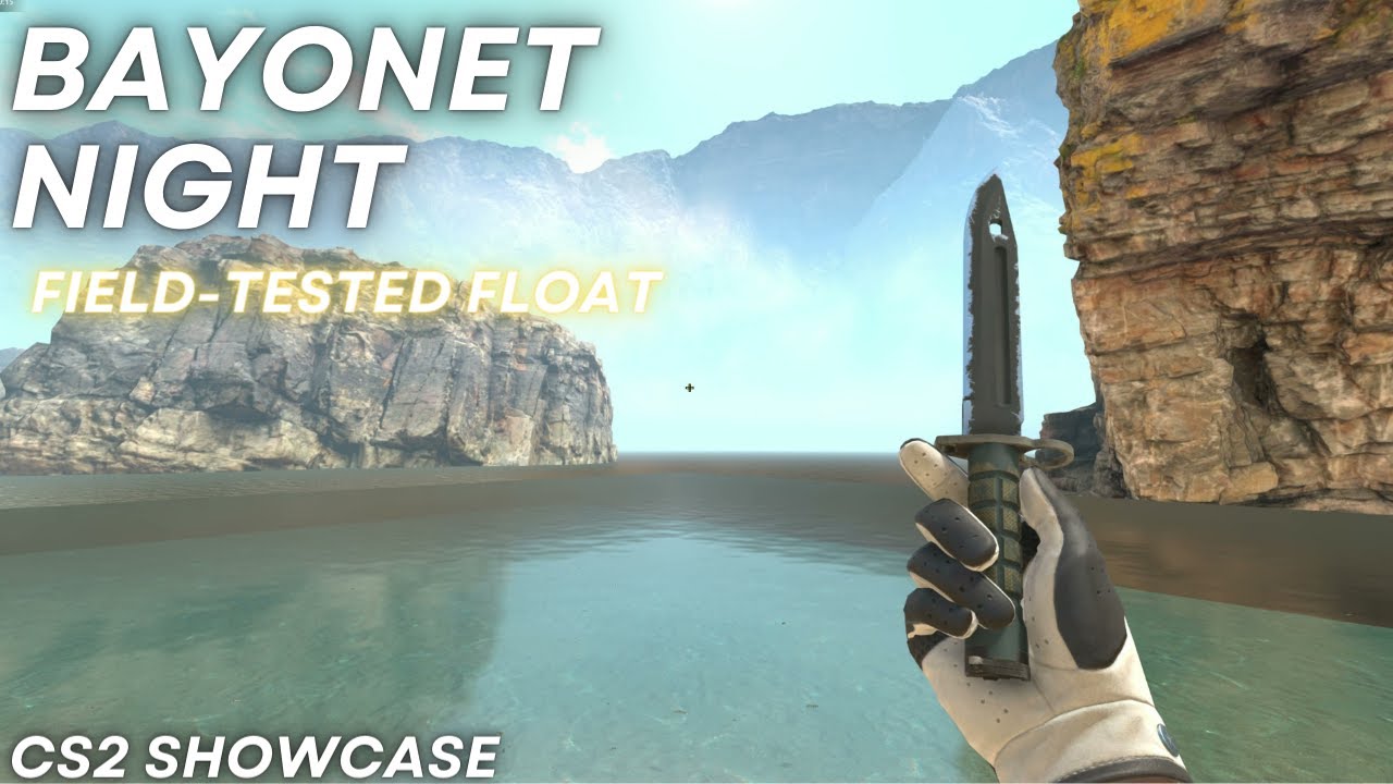 Bayonet Night (Field-Tested) | CS2 Skin Showcase #734 - YouTube