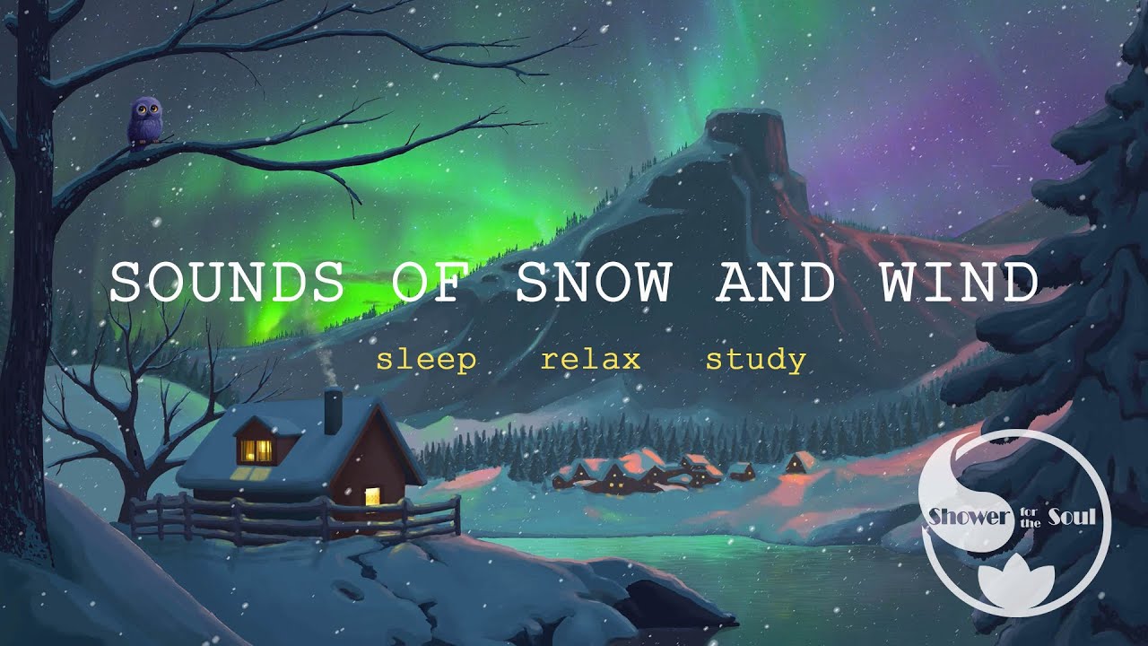 ️Fabulous atmosphere of the northern lights with the sounds of wind and ...
