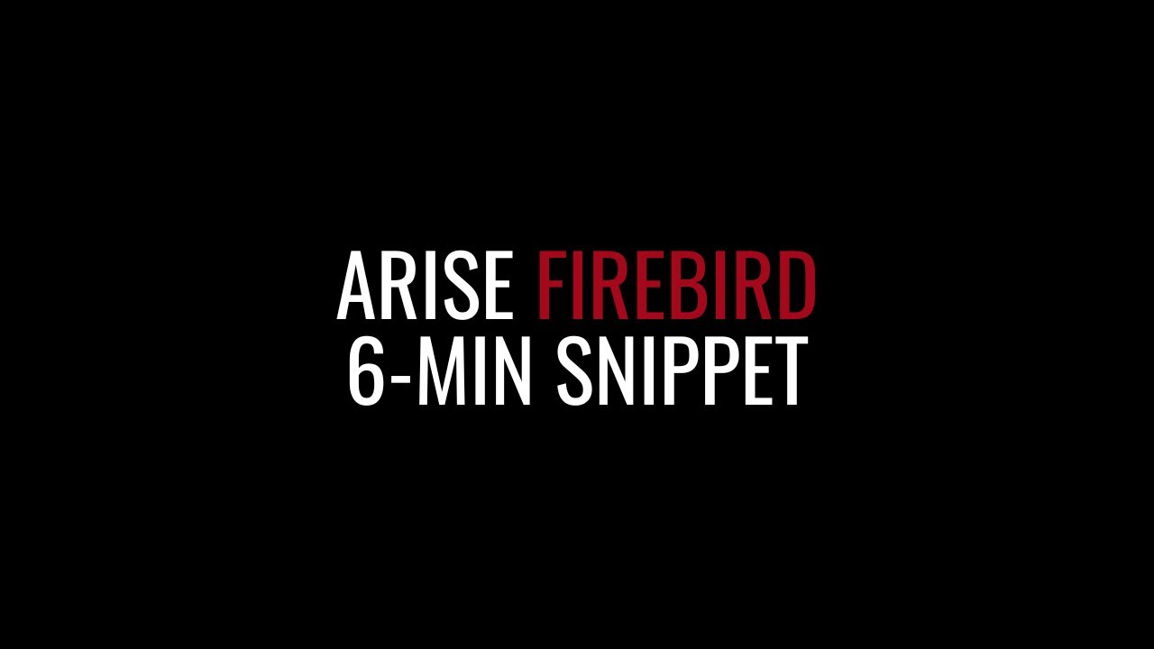 A snippet of 🌟 Arise Firebird: Women and People of Color Transcending and Finding Peace at Work ...