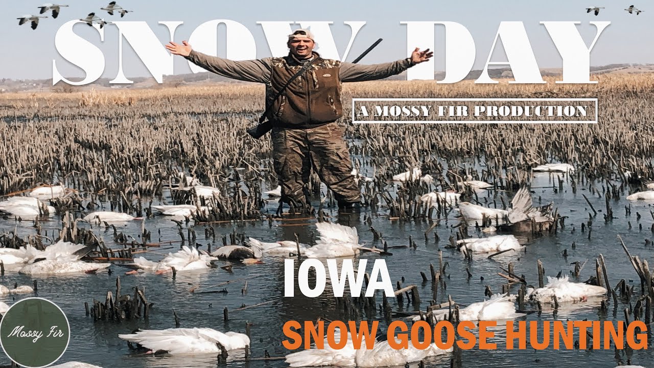 Snow Day | A Snow Goose Short Film - YouTube