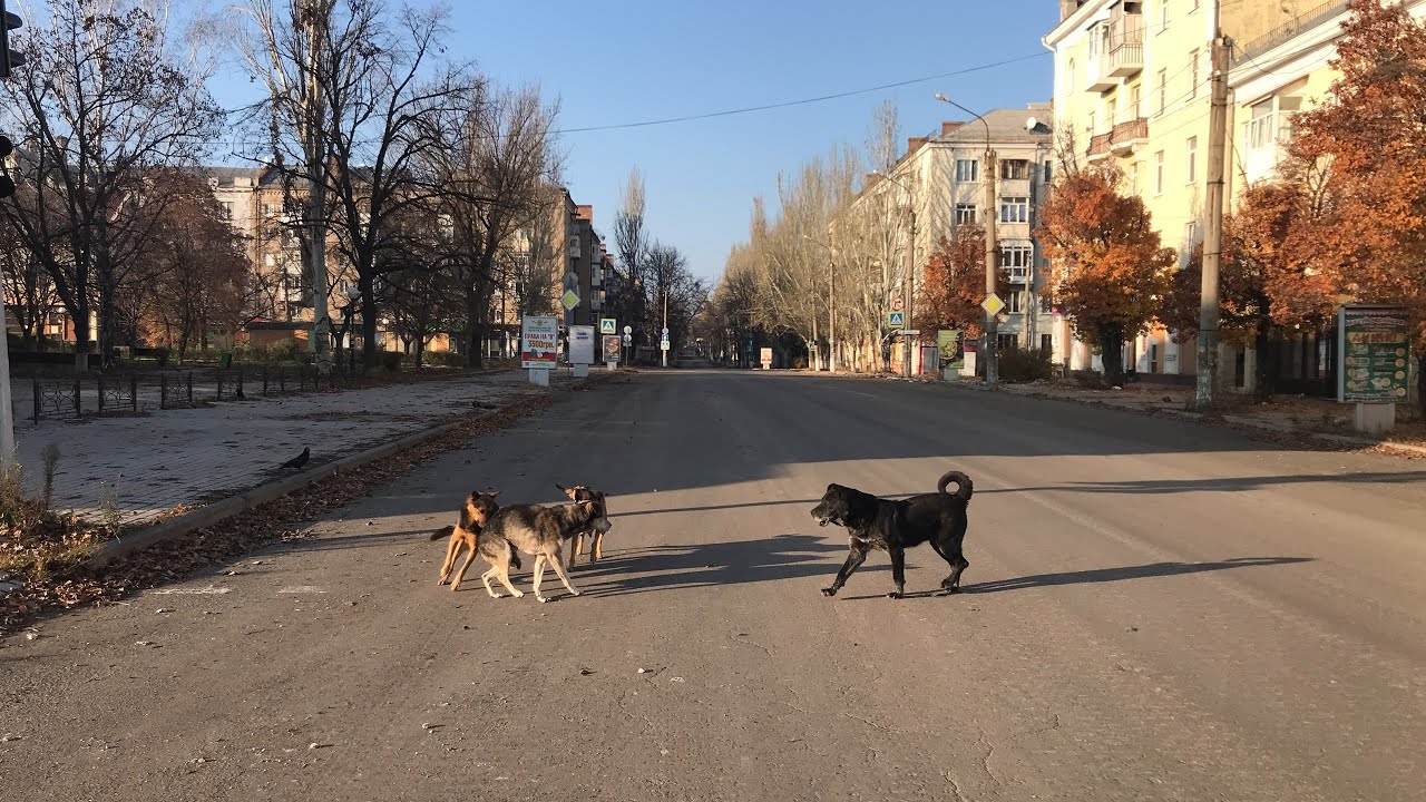 Bakhmut. Donetsk Oblast of Ukraine. 2022.11.09 - YouTube