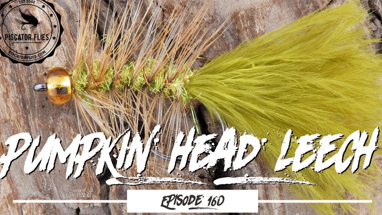 Tying a Pumpkin Head Leech (var) Stillwater Trout Fly Pattern - Ep 160 ...