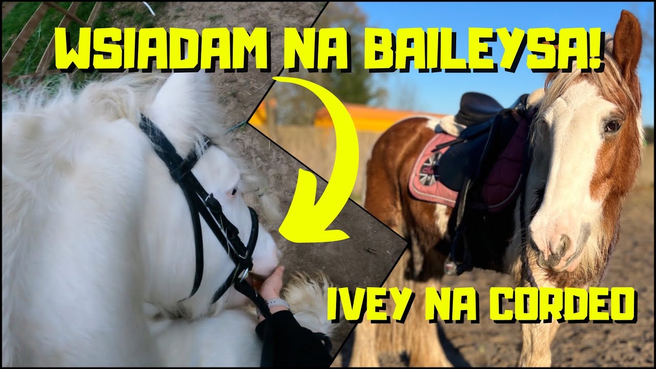 FRYZ ALBINOS POD SIODŁEM I IVEY NA CORDEO😳 MEGA ODCINEK - YouTube