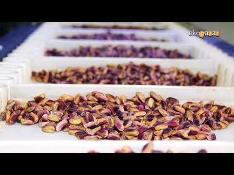 FISTIK EVİ ATV EKOPAZAR 24 EYLÜL 2017