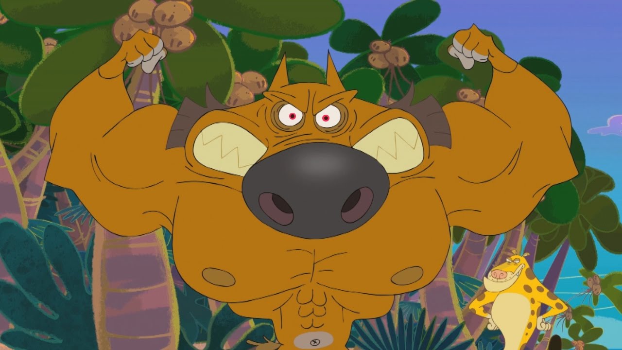 Zig & Sharko - The coach (S01E36) Full Episode in HD - YouTube