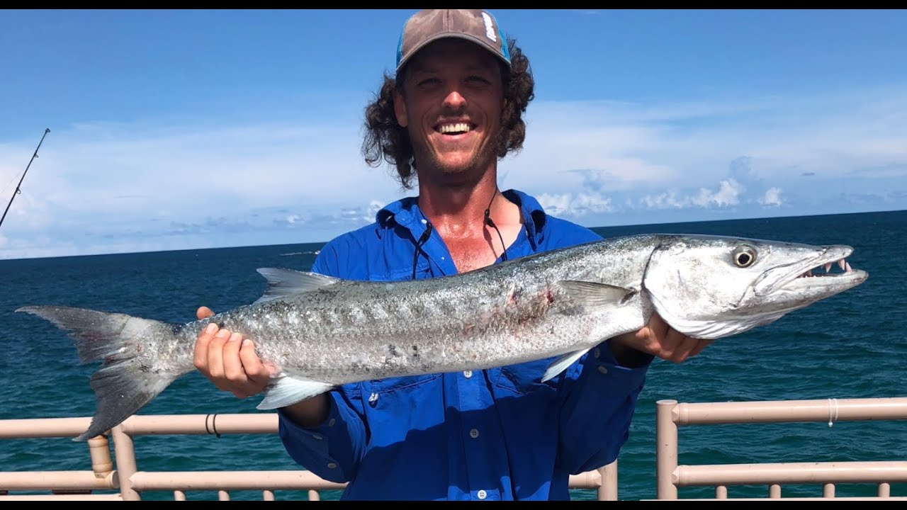 SNOOK, JACK CREVALLE and BARRACUDA!!! Miami Florida Pier Fishing ...