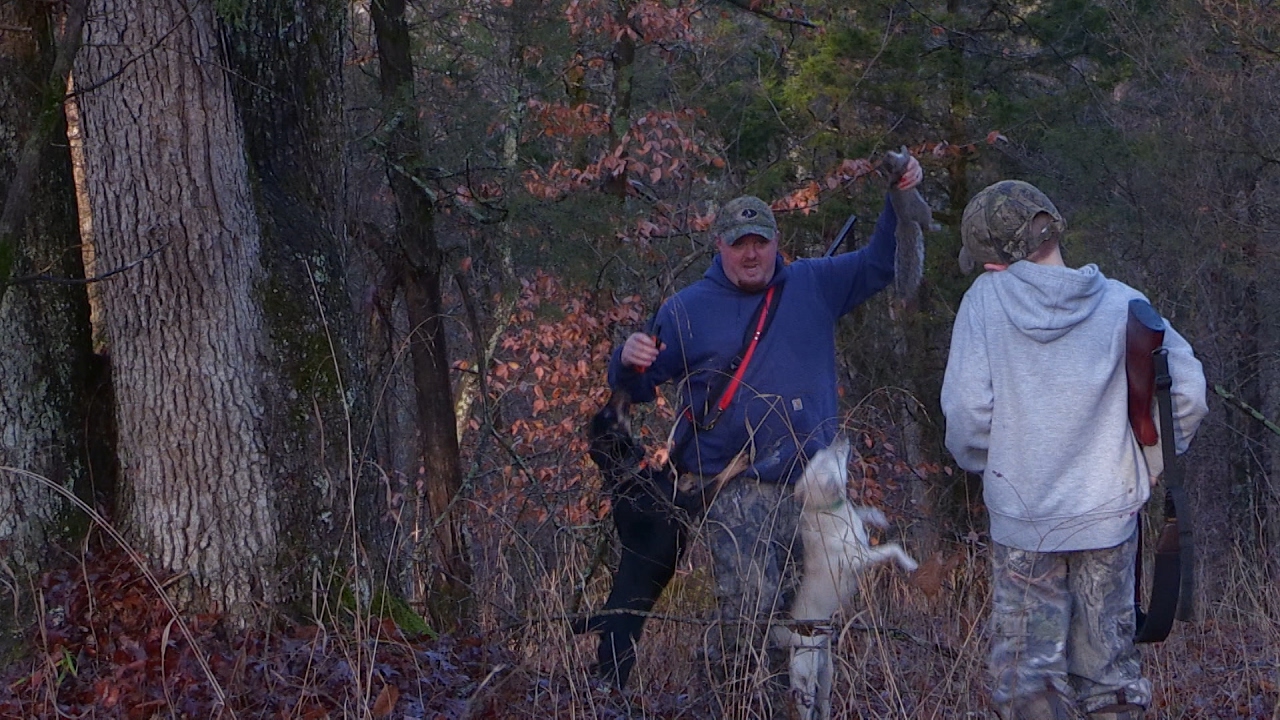 A Squirrel Hunting Adventure With Dogs and Kids - YouTube